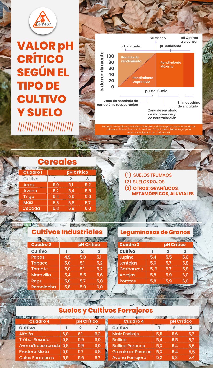 Encalado de suelos agrícolas con Agrocalcio de Calmosacorp